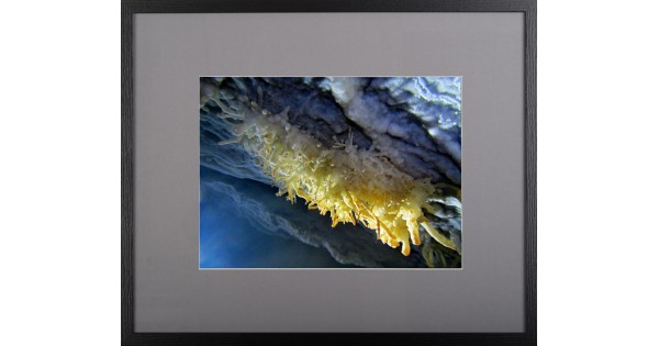 Aqvatelurica, fotografie, artist: Radu Pop, tablou, galerie online